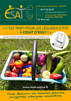 Archives des Plantes de Printemps - Les Ateliers du Vieux Châtres